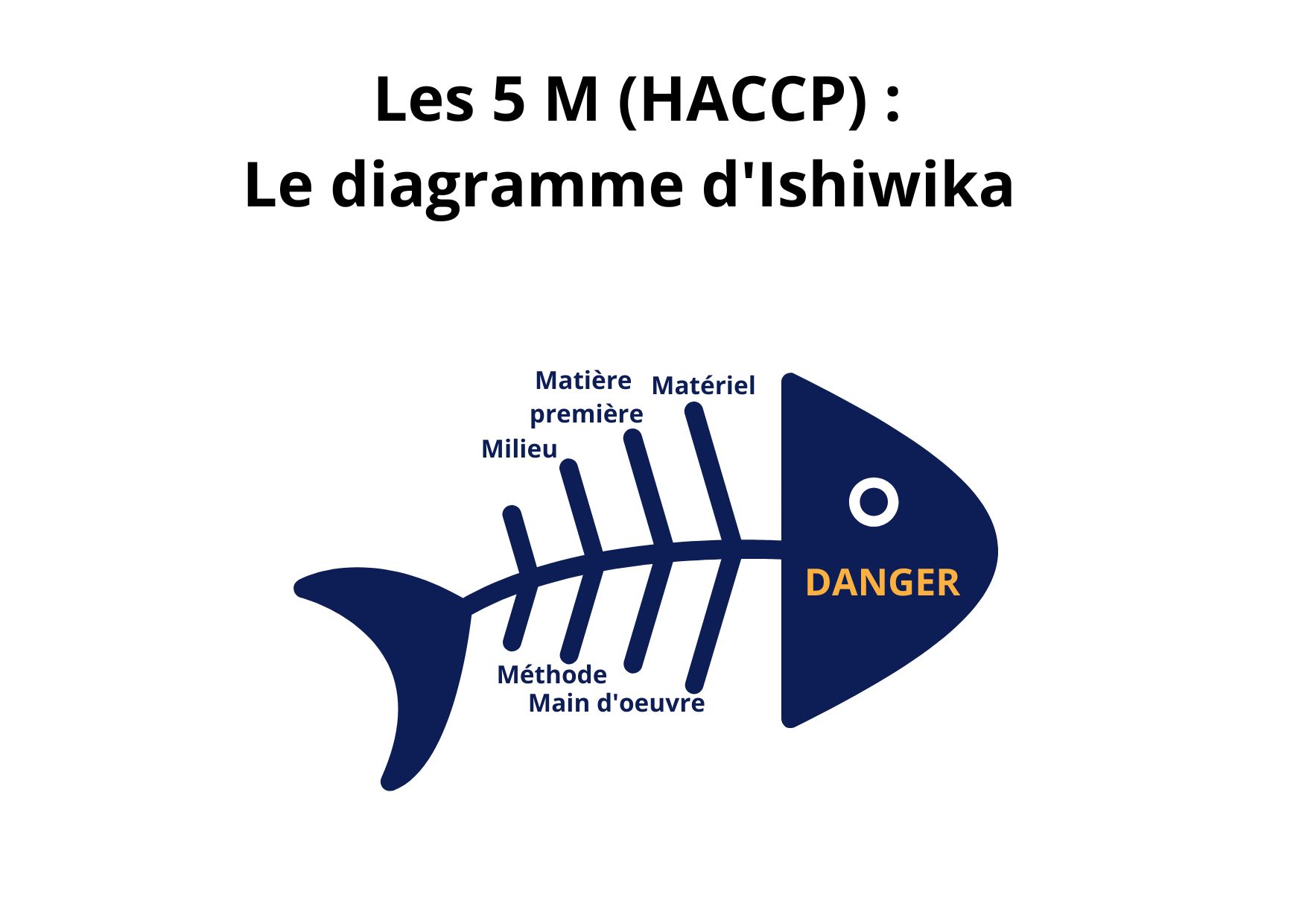 Qu'est ce que les 5M ? | Stelo formation